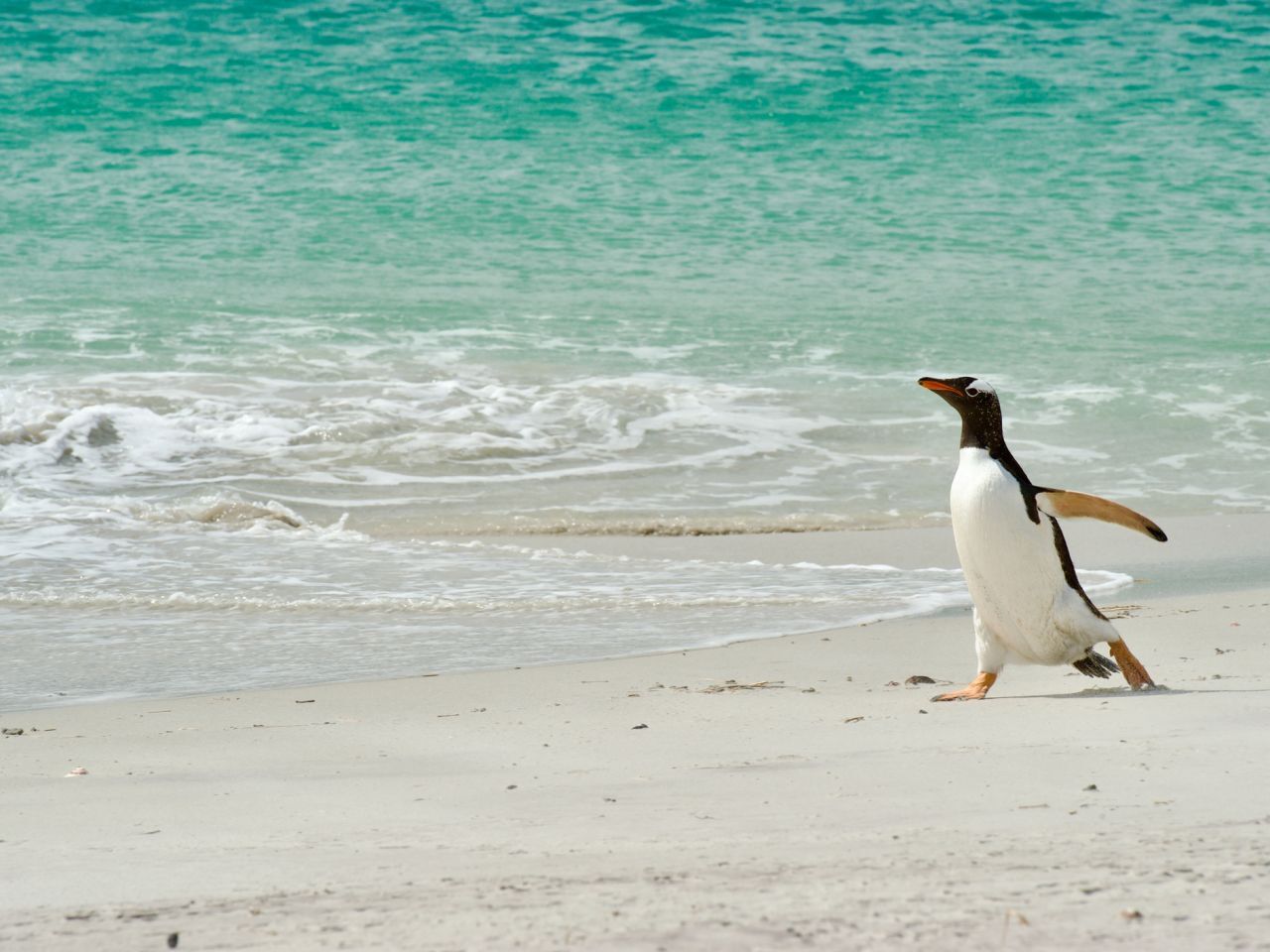 「KDE Plasma」の「KRunner」で作業効率を高めるには - ZDNET Japan