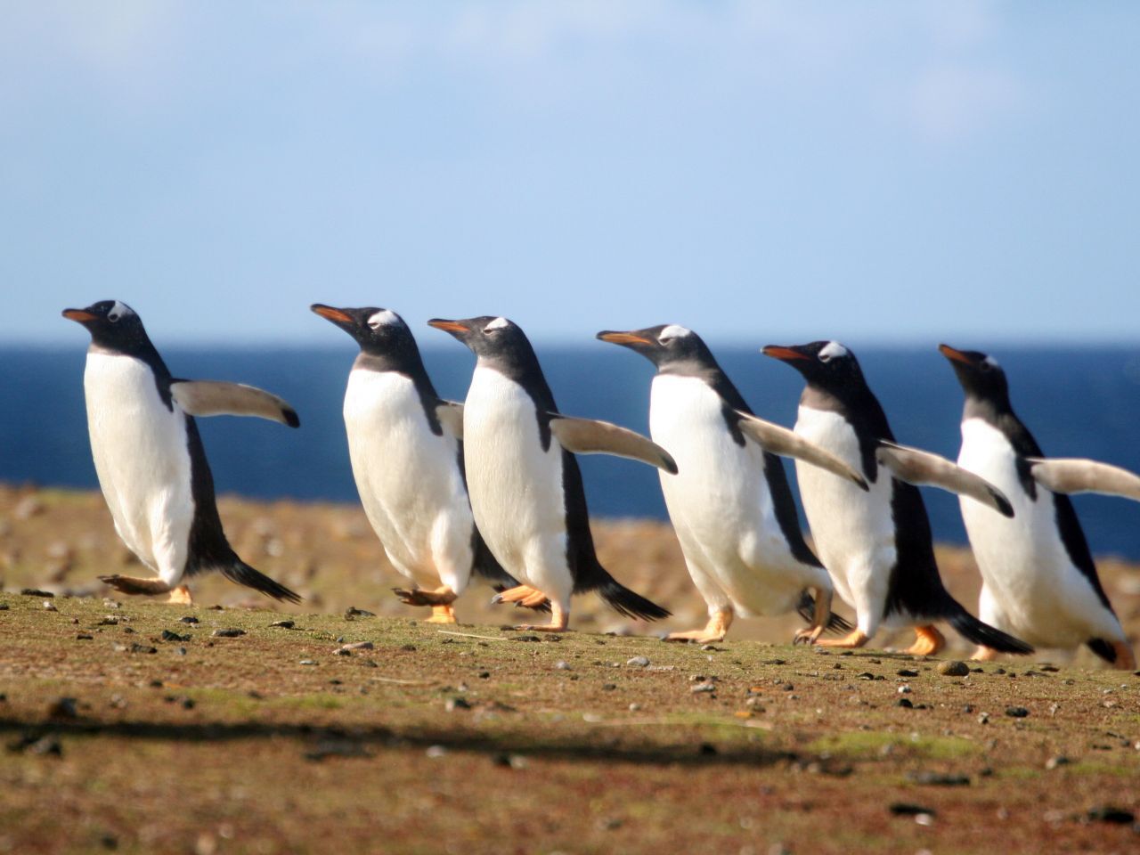 「Linux」でのユーザー管理のために知っておくべきコマンド6選 - ZDNET Japan