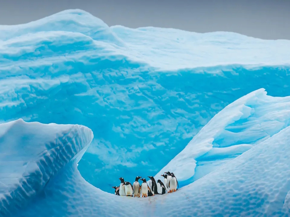 「Linux」に関する6つの俗説を論破--「ターミナルの使用は必須」なのか？ - ZDNET Japan