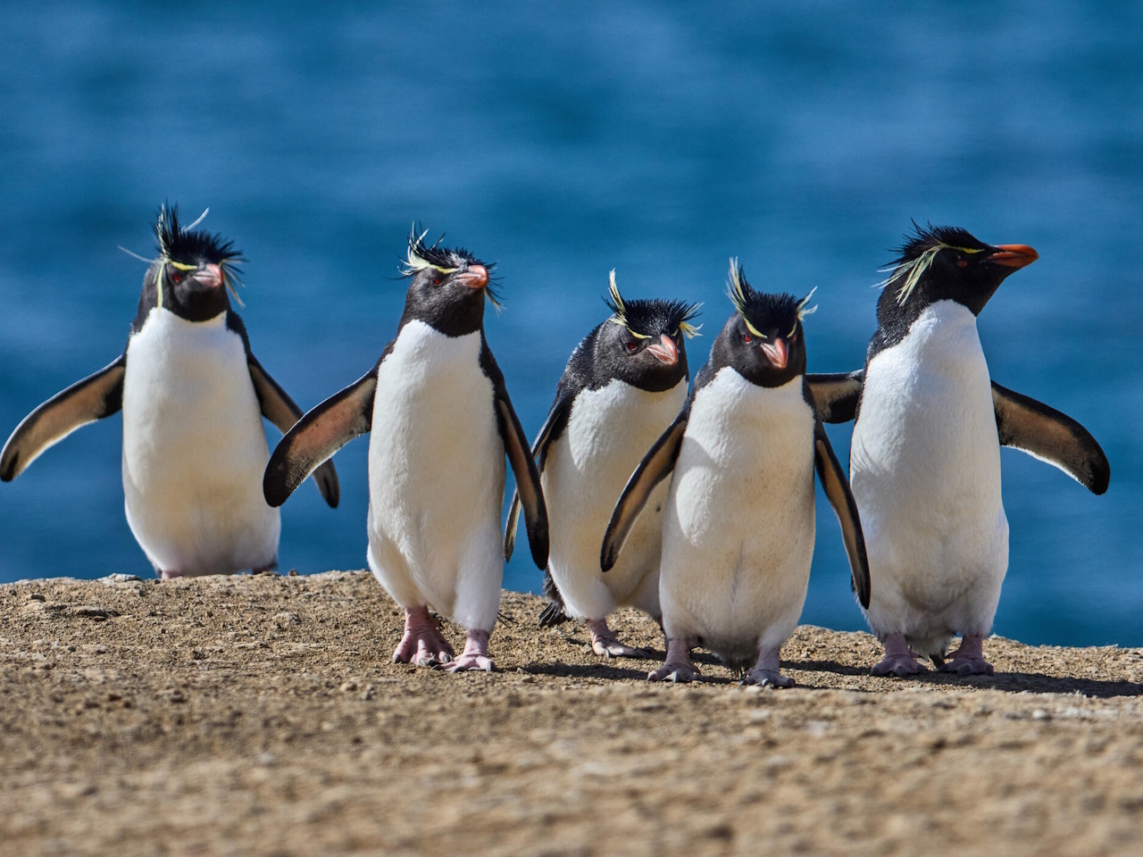 自分好みに設定できる--カスタマイズ性で選ぶ「Linux」デスクトップ環境5選 - ZDNET Japan