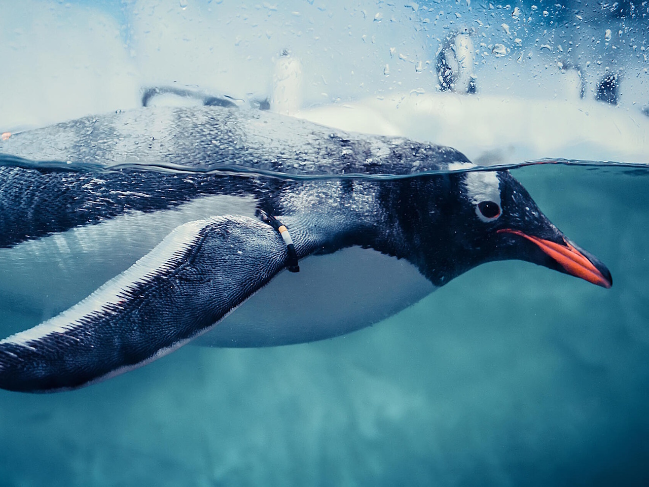 「Linuxカーネル6.15」がリリース--NVIDIA GPU用のRust製ドライバーなど追加 - ZDNET Japan