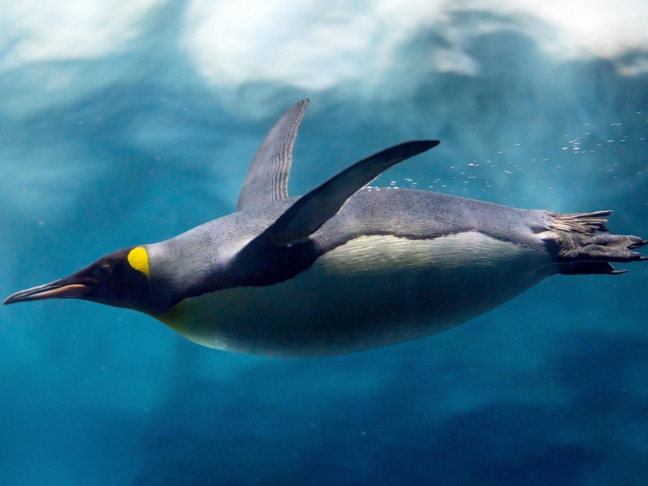 「Linuxカーネル6.16」が公開--ファイルシステム高速化、機密メモリー保護の強化、Rust対応が進展 - ZDNET Japan